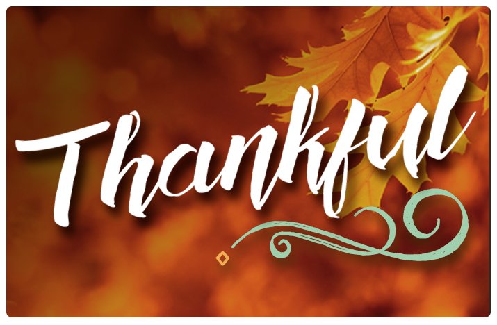 Thankful in 2020 - Grip The Sword